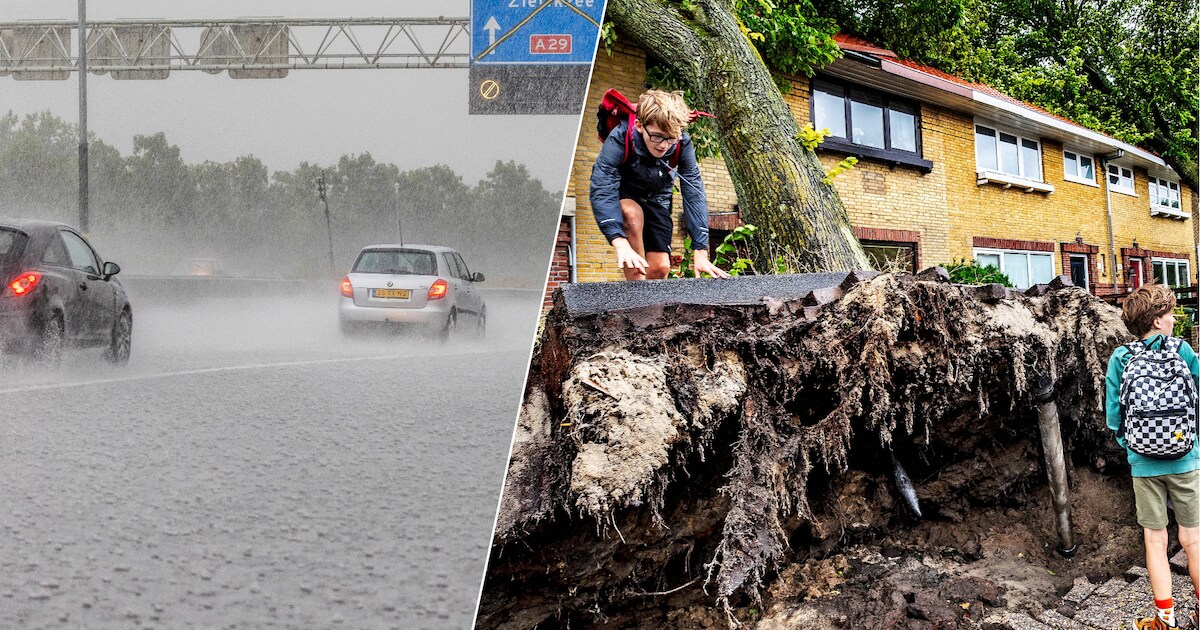 Noodweer in Waalwijk: vorig jaar meeste overstromingsschade sinds 2009 ...
