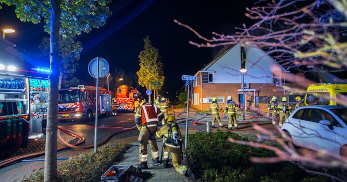 Schijndelaar (23) hoorde vorige week nog 18 jaar cel eisen, vandaag is ...