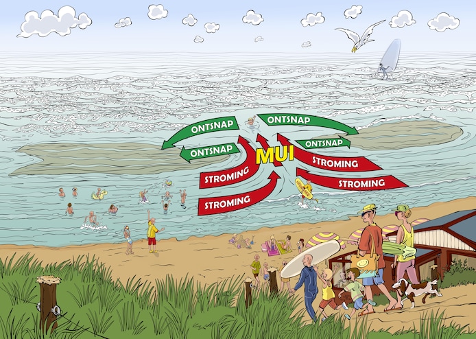 Bijna onzichtbaar gevaar in het water: wat zijn muien en wat moet je ...