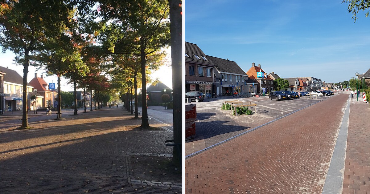 Bomenkap in Vught? Dat is slechts kinderspel vergeleken met Heesch ...