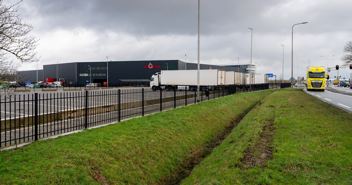 EDEKA neemt bedrijfsonderdelen de Groot fresh group over in Hedel ...