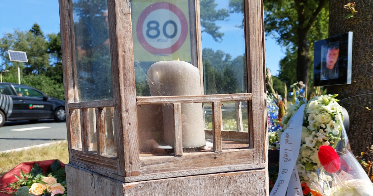 Vernielzucht rondom Marco's monumentje langs N65 | Regio | BD.nl