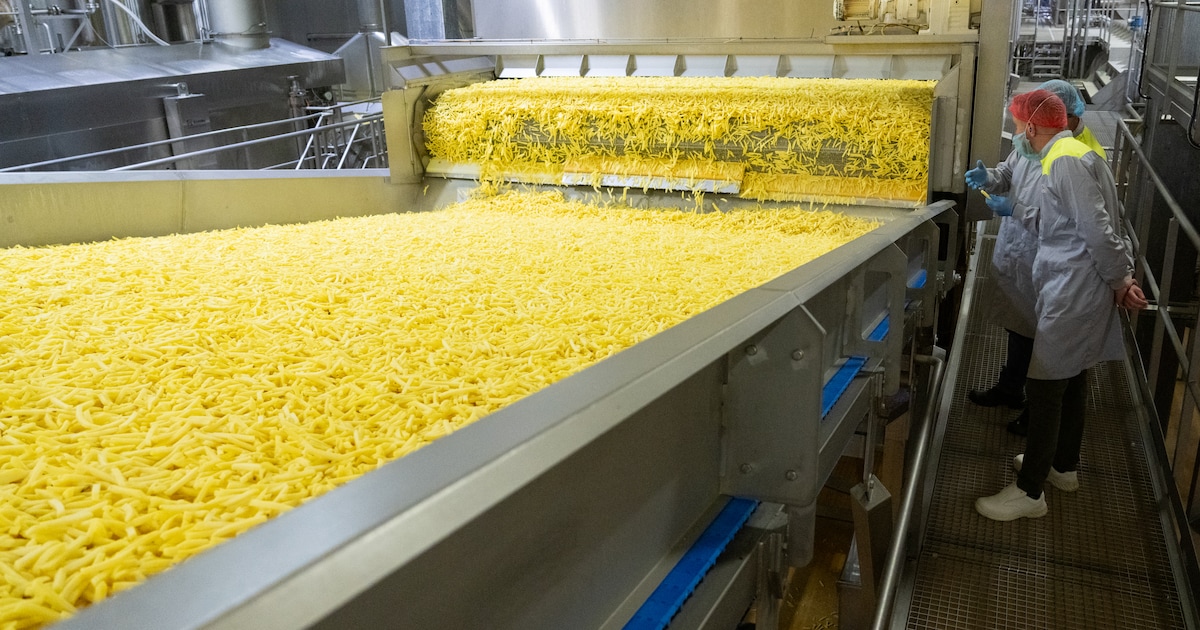 50 meter hoog, 40.000 pallets en ijskoud: in dit Tilburgse gebouw wordt ...