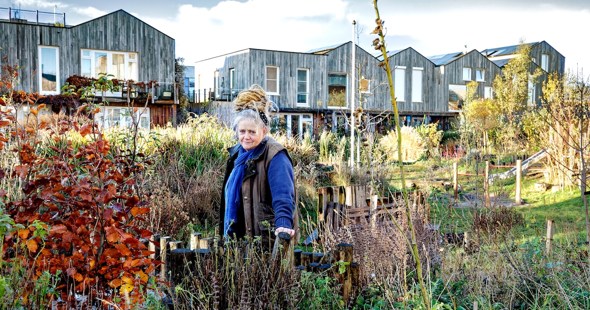 Wonen ze in Boschveld het meest bijzonder van heel de provincie? | Den ...