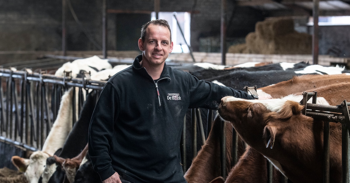 Stoppen om stikstof? Daar heeft boer Joris (38) uit Baarle-Nassau geen ...