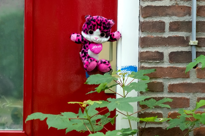 Inspectie vernietigend over hulp aan Vlaardings pleegmeisje: Medewerker op non-actief ...