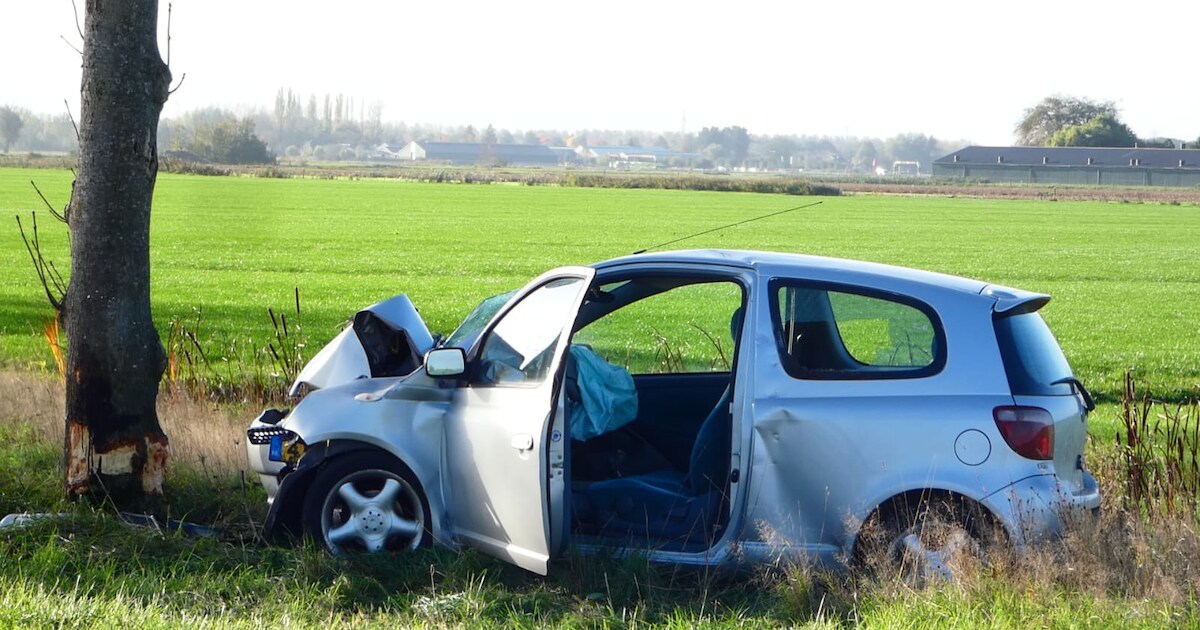 Automobilist zwaargewond bij frontale botsing tegen boom in Oijen | Oss e.o. | bd.nl