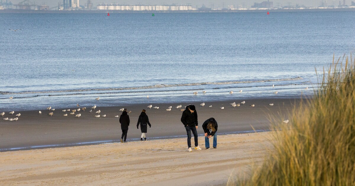 Hondje plast op pakket in branding, blijkt om blok coke te gaan: ‘We ...