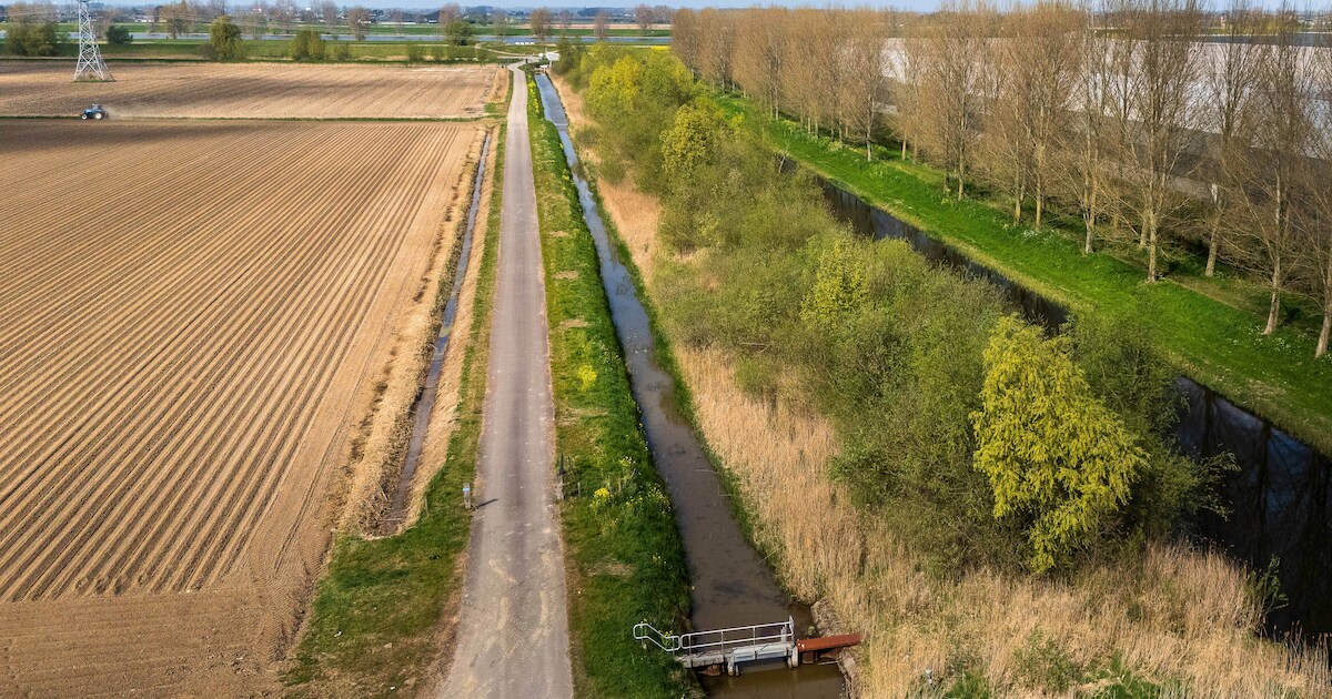 Innovatie met hinderpalen: gemaal De Slagen in Waalwijk trekt ongewild ...