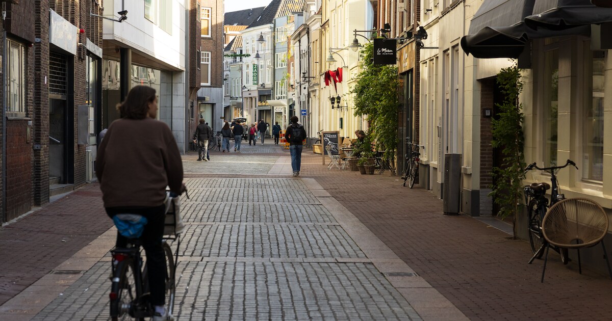 Man zwaar mishandeld tijdens 11-11 in Den Bosch, vader wil redder in ...