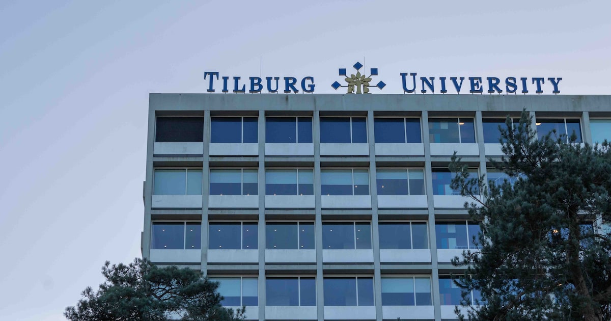 Student (25) schreef volgens Tilburg University bijna helft van zijn ...