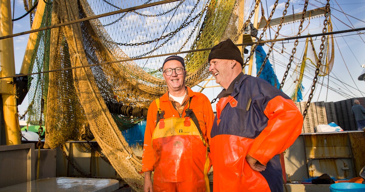 Visserij beleeft goed jaar na diep dal: ‘De vangsten waren goed, en de ...