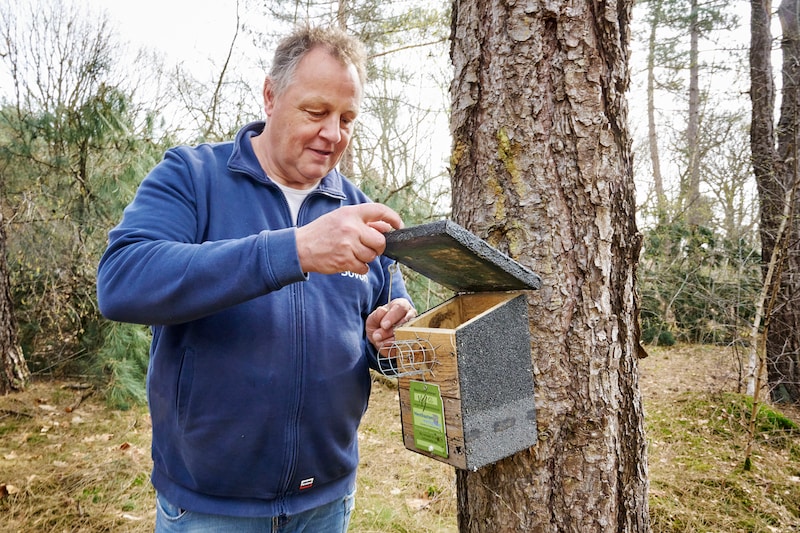 Vogelwacht plaatst honderden korfjes op nestkasten, anders pakken ...