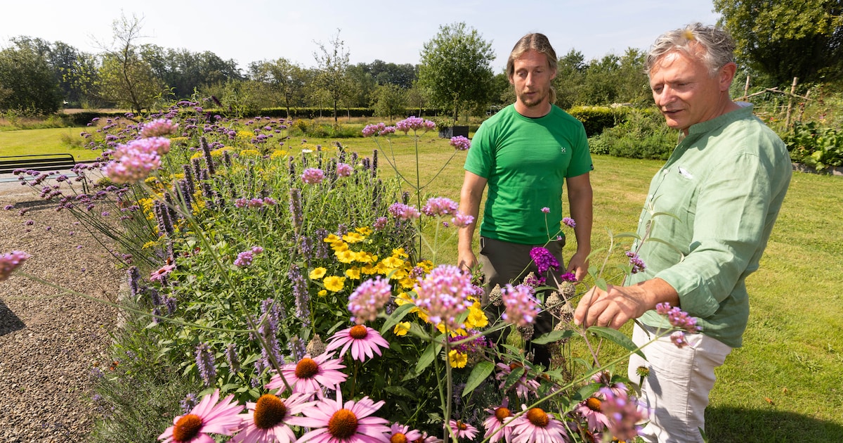 Jeroen en Floris bloeien op bij Nieuw Annaland in Vught: ‘Ik heb weer ...