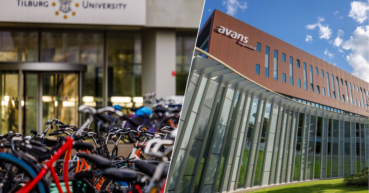 Tilburg University en Avans Hogeschool Breda ook getroffen door ddos ...