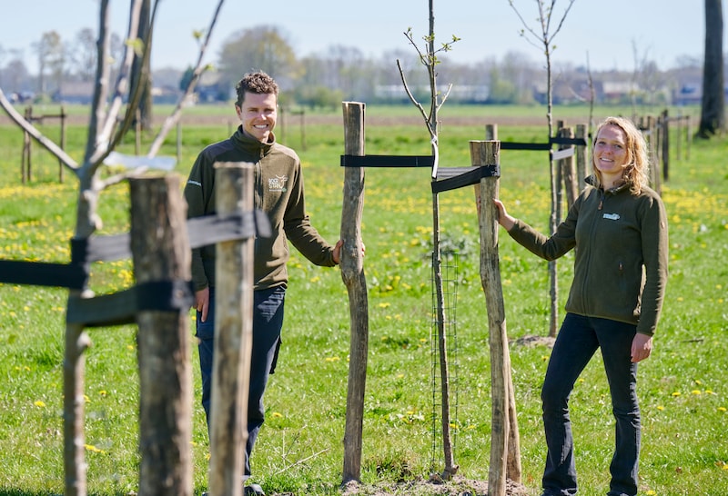 Dit fruit werd gegeten door onze overgrootouders: nieuwe boomgaard ...