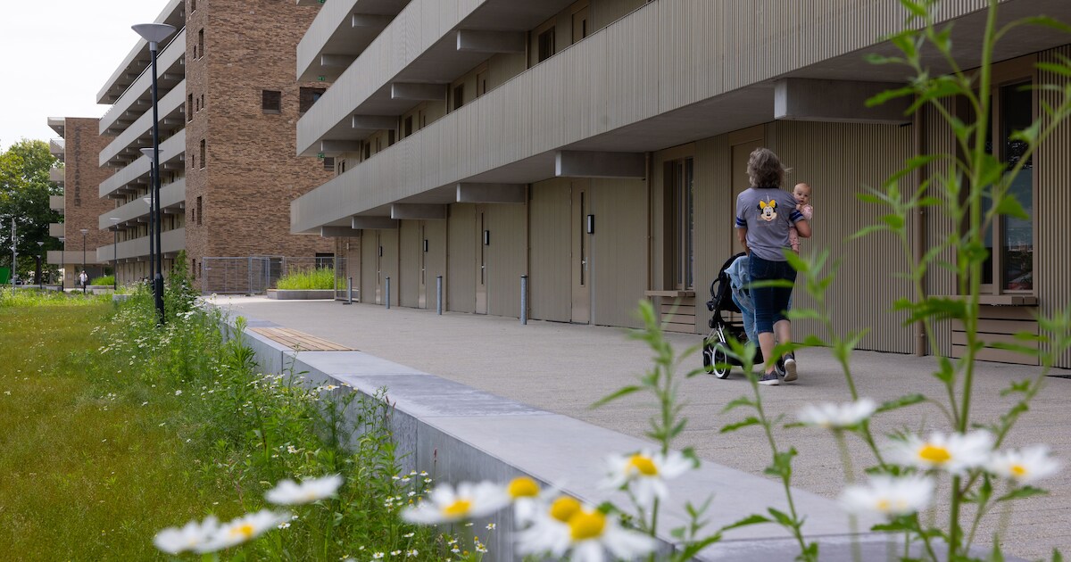 Hoe Casade de woningnood te lijf gaat: ruim 100 miljoen voor nieuwbouw en renovatie | Waalwijk ...