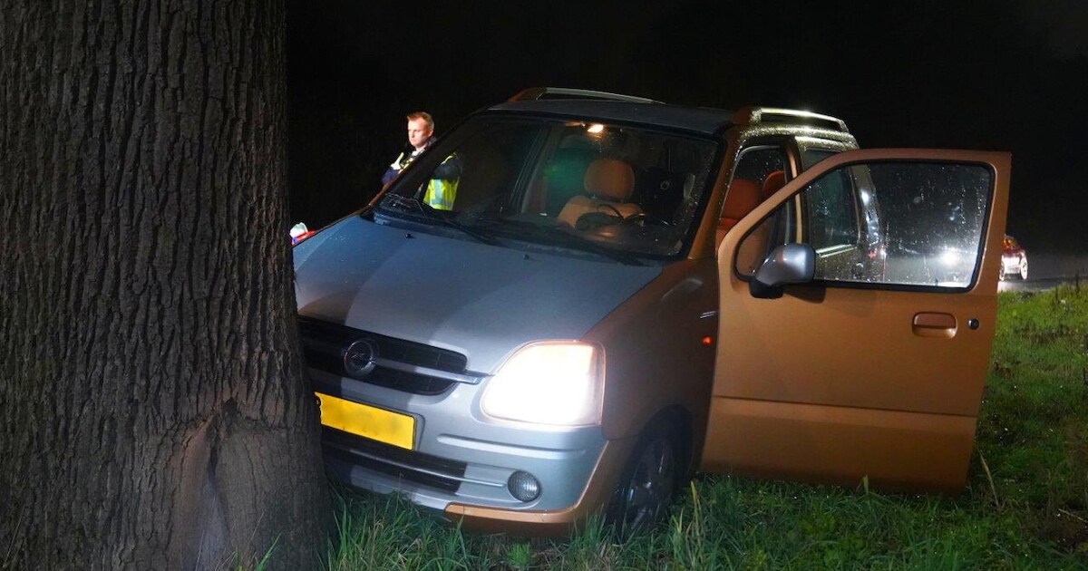 Automobilist valt op N65 bij Vught in slaap achter het stuur, voertuig botst tegen boom in ...