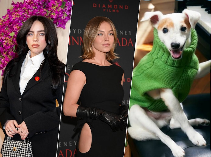 Honden van Billie Eilish, Sydney Sweeney en Mariah Carey staan op ...