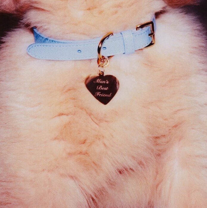 Waarom zijn mensen zo boos over de nieuwe albumhoes van Sabrina ...