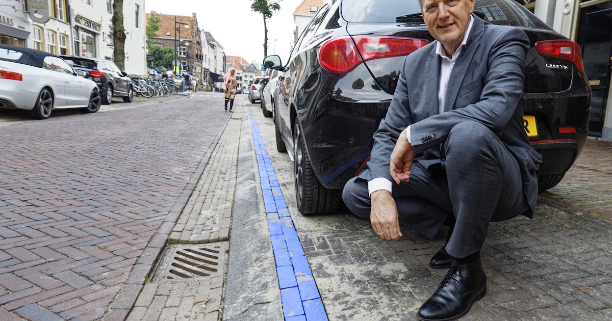 Verwarring in Zaltbommel: ’s avonds wel of geen parkeerboete ...