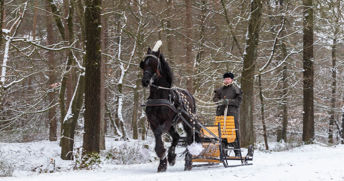 Toen de agent een stukje van de deken optilde, zag Daniëlle het al ...