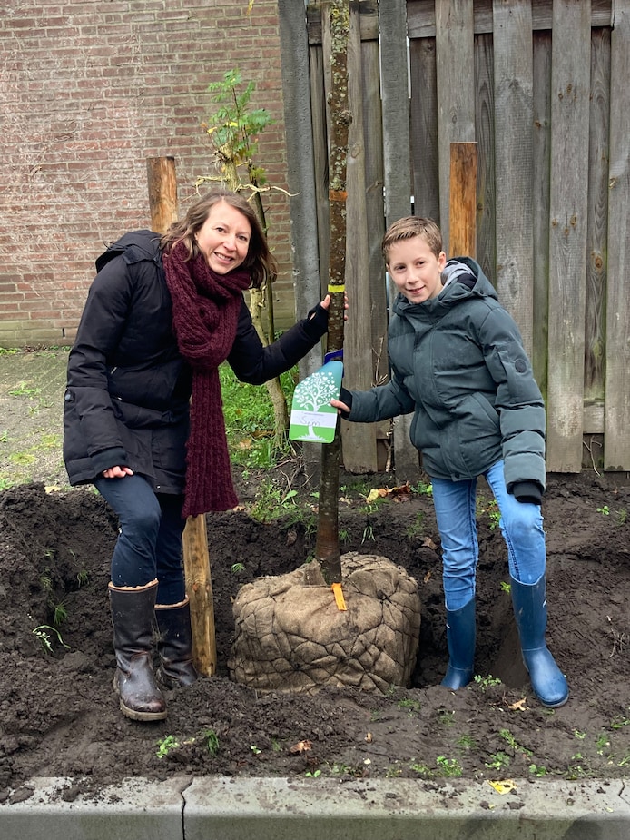 Met ‘Sem-boom’ wordt plantproject afgetrapt: Tilburg wil deze winter ...