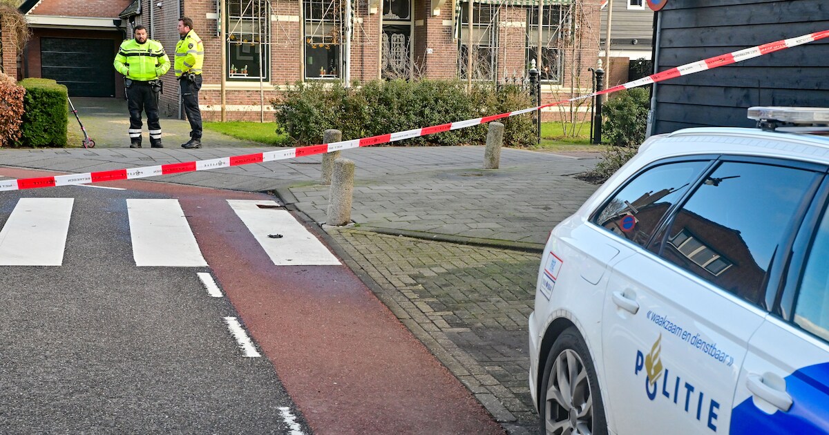 Moeder zag dochtertje (6) overreden worden: ‘Vrolijk meisje is een ...