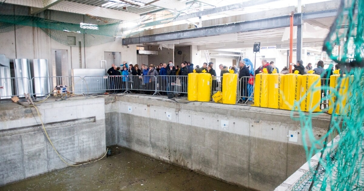 Hoogste punt voor zwembad en sporthal Den Butter in Rijen | Gilze en ...