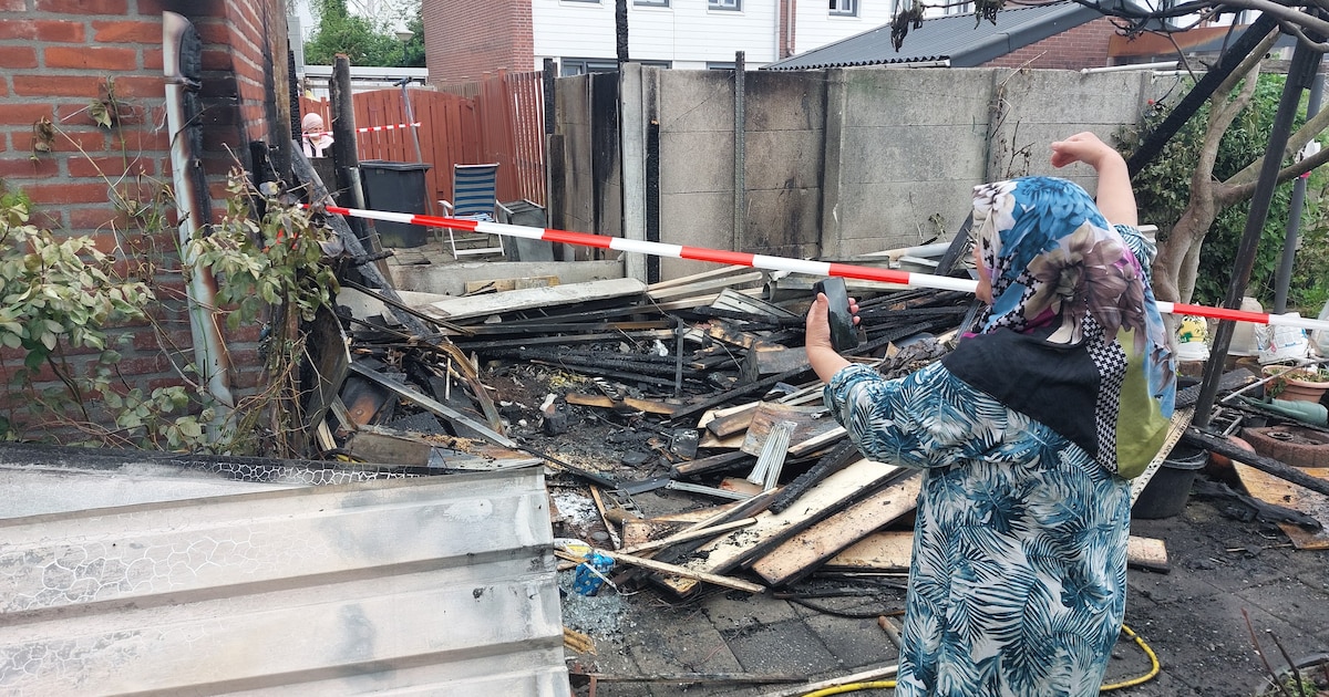 Doorgedraaide Veghelaar trekt spoor van branden en vernielingen in wijk ...