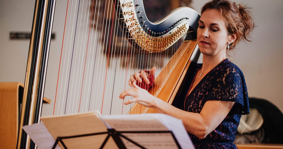 Pianist Colijn Buis speelt met harpiste Annemieke IJzerman in ...