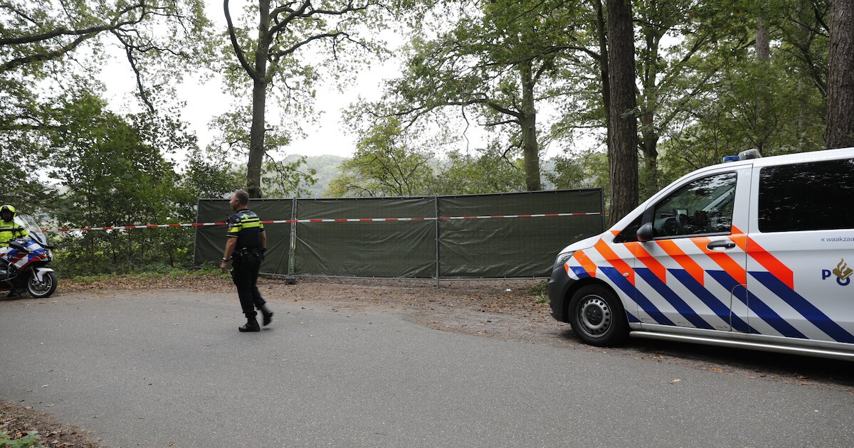 Politie houdt alle scenario's open na vondst overleden vrouw in bosgebied Halsteren | Brabant ...