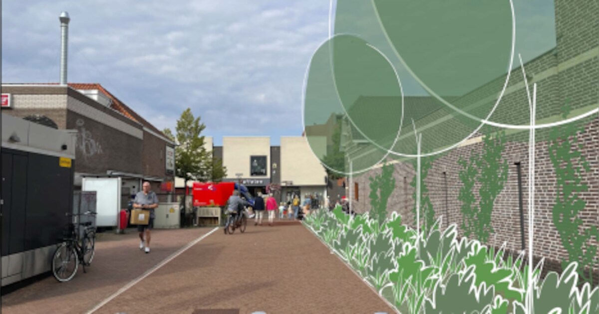 Waalwijks centrum kleurt groener in strijd tegen ‘verstening’, maar het ...
