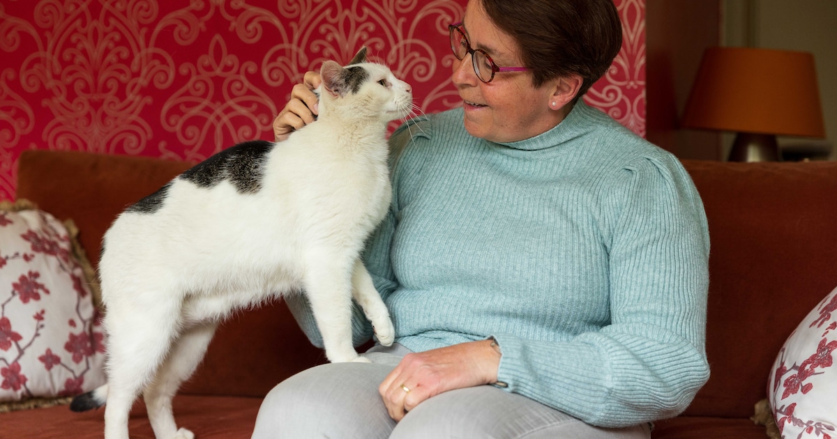 ‘Is-ie dood, vroeg ik’ Kat Sammy meer dan een jaar spoorloos, totdat ...