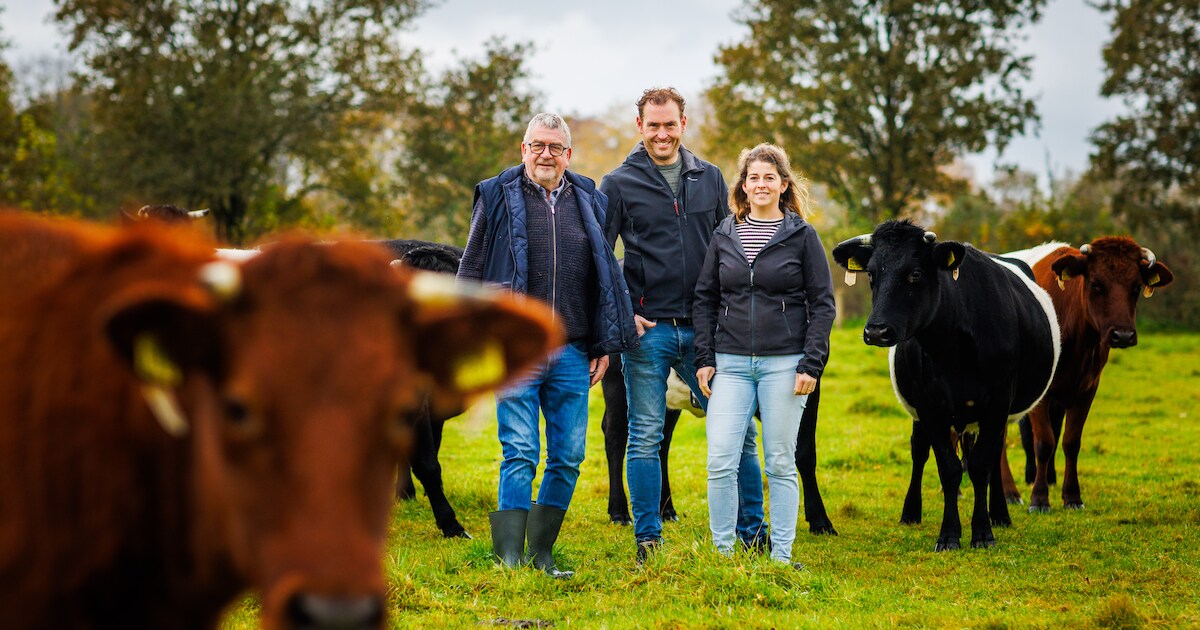 Naast koeien ook zorg, recreatie, camping en horeca: Beleefboerderij in ...