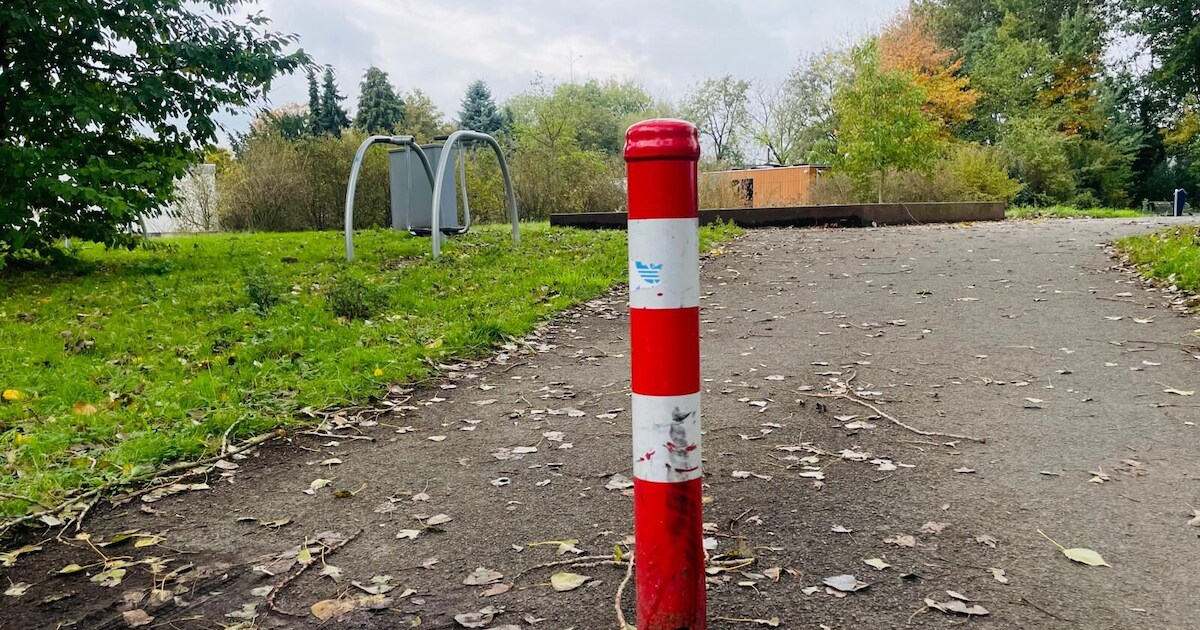 Paaltjes verdwijnen van fietspaden in Den Bosch | 's-Hertogenbosch | BD.nl