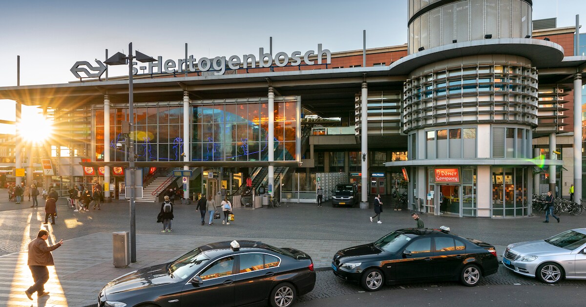 Man slaat wildvreemden en spuugt iemand in gezicht op station van Den ...