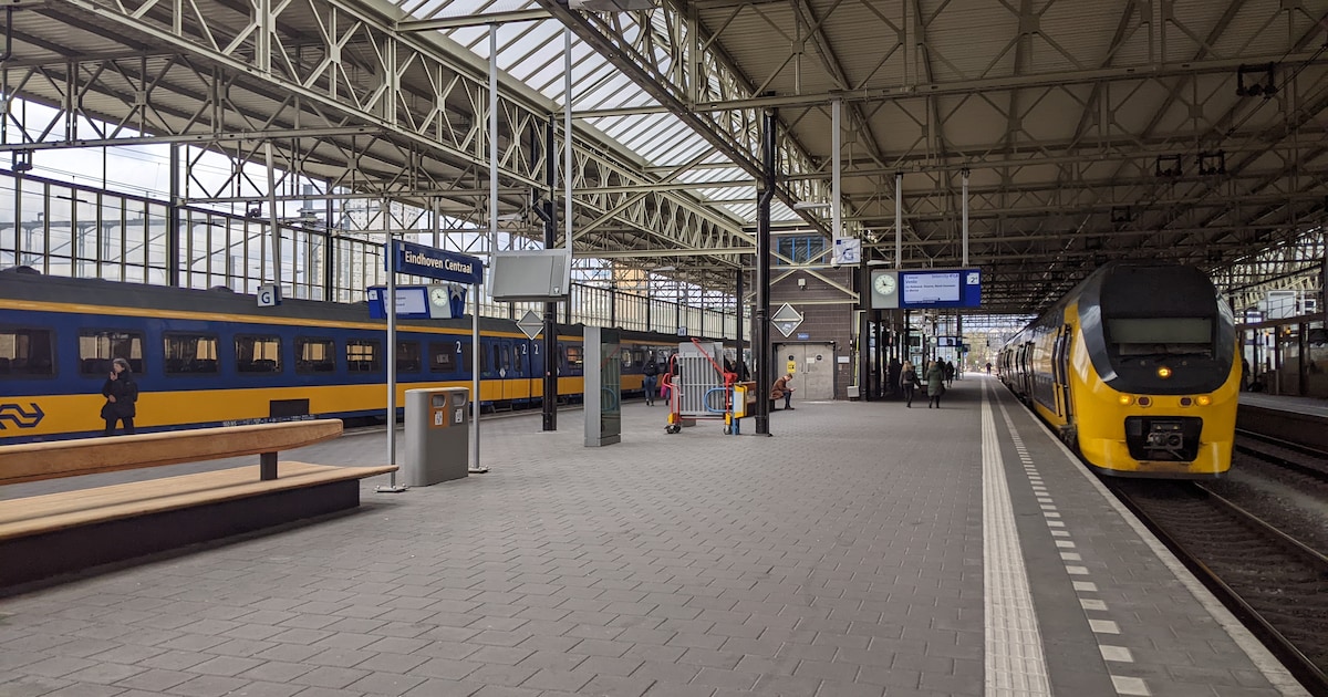 NS komt met oplossing voor drukke trein: goedkoper reizen tussen ...