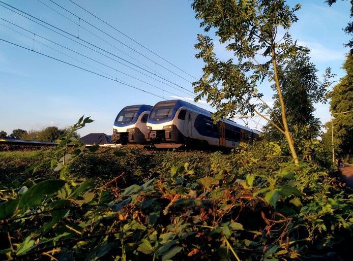 Na uren rijden treinen weer tussen Oss en Den Bosch, reizigers zaten ...
