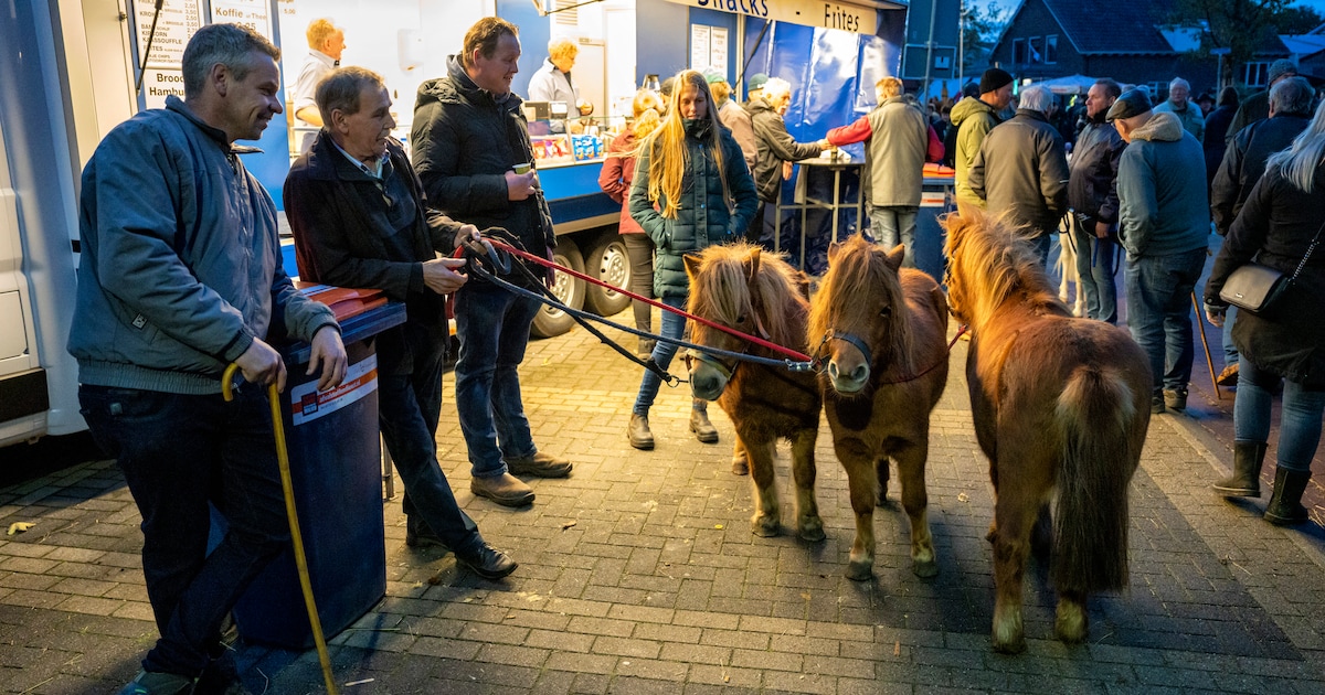 Dit moet je weten over de eeuwenoude Paardenmarkt in Hedel (zeker als ...