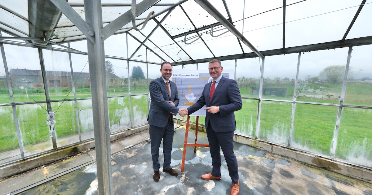 Tuinbouwgebied De Grote Ingh in Kerkdriel verandert in woonwijk: ‘We ...