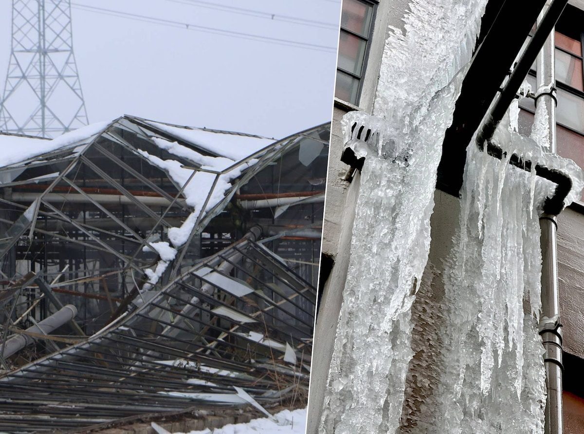 LIVE Sneeuw in Brabant | Ravage na instorten kassen in Waspik dag later ...