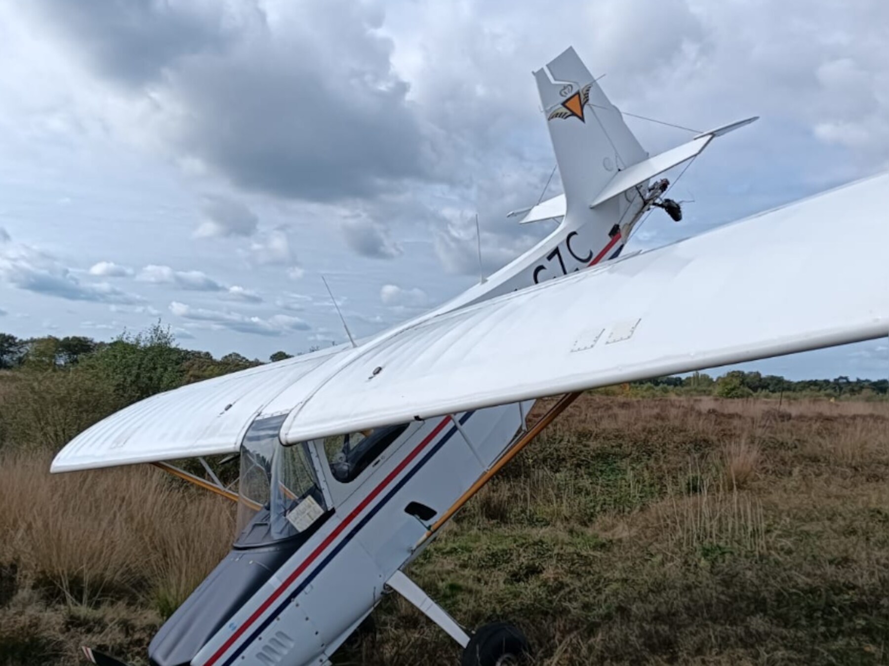 Organon koopt Osse MSD-fabriek: 200 medewerkers verliezen hun baan ...