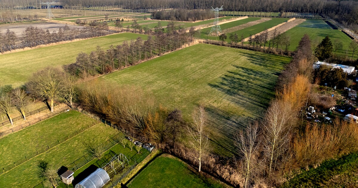 Plan voor ecodorp in natuurgebied Wijboschbroek mag niet, maar ...