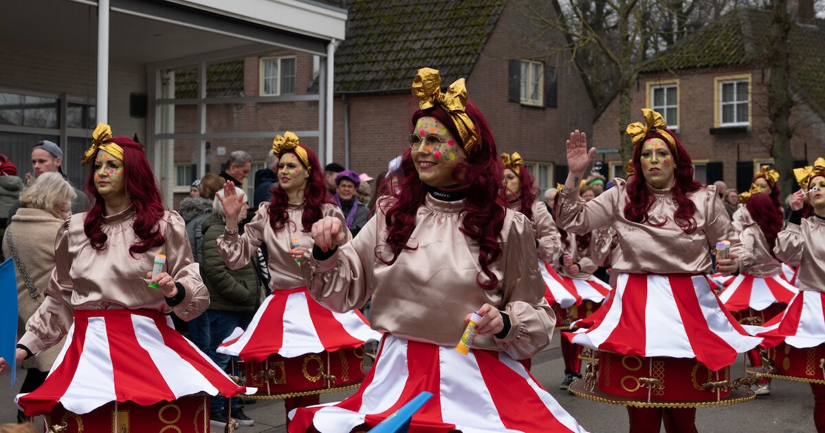 Veel kleur en afwisseling in optocht Handel | Brabant | BD.nl