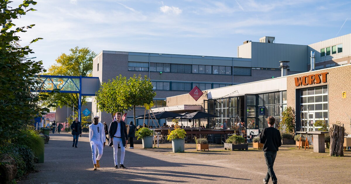 Zo’n 1300 woningen en mogelijk een nieuw treinstation: Sectie-C in Eindhoven wordt heel anders ...