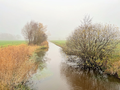 IVN winterwandeling bij kasteel Croy in Aarle-Rixtel | Eindhoven | BD.nl