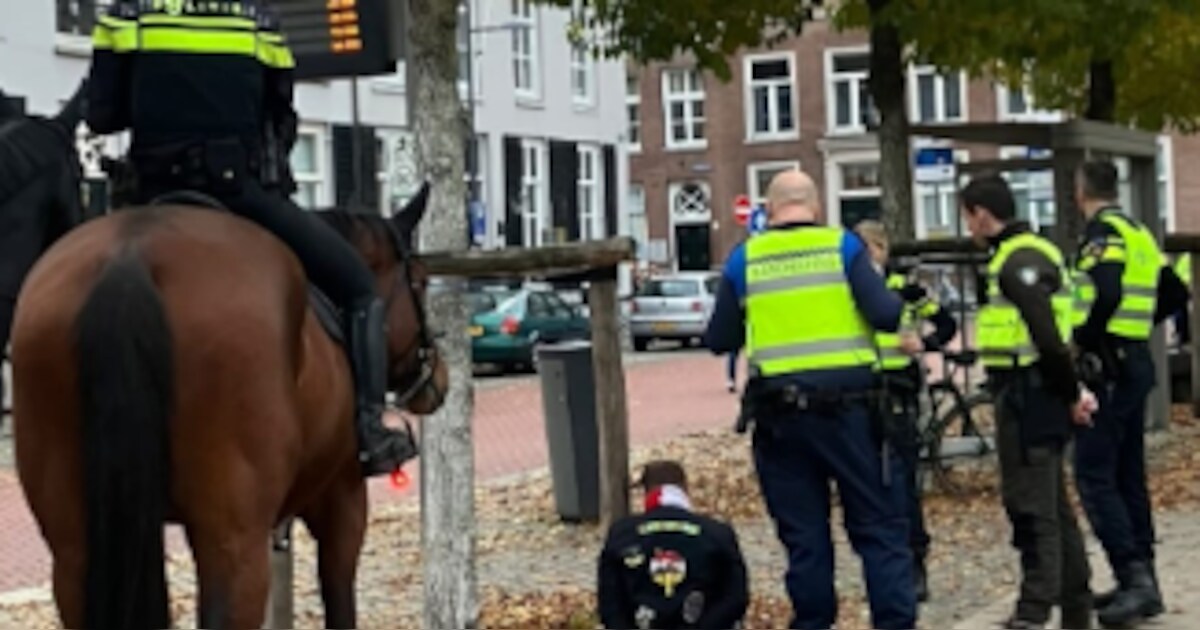 Man onder invloed aangehouden in Den Bosch na beledigen agenten tijdens ...