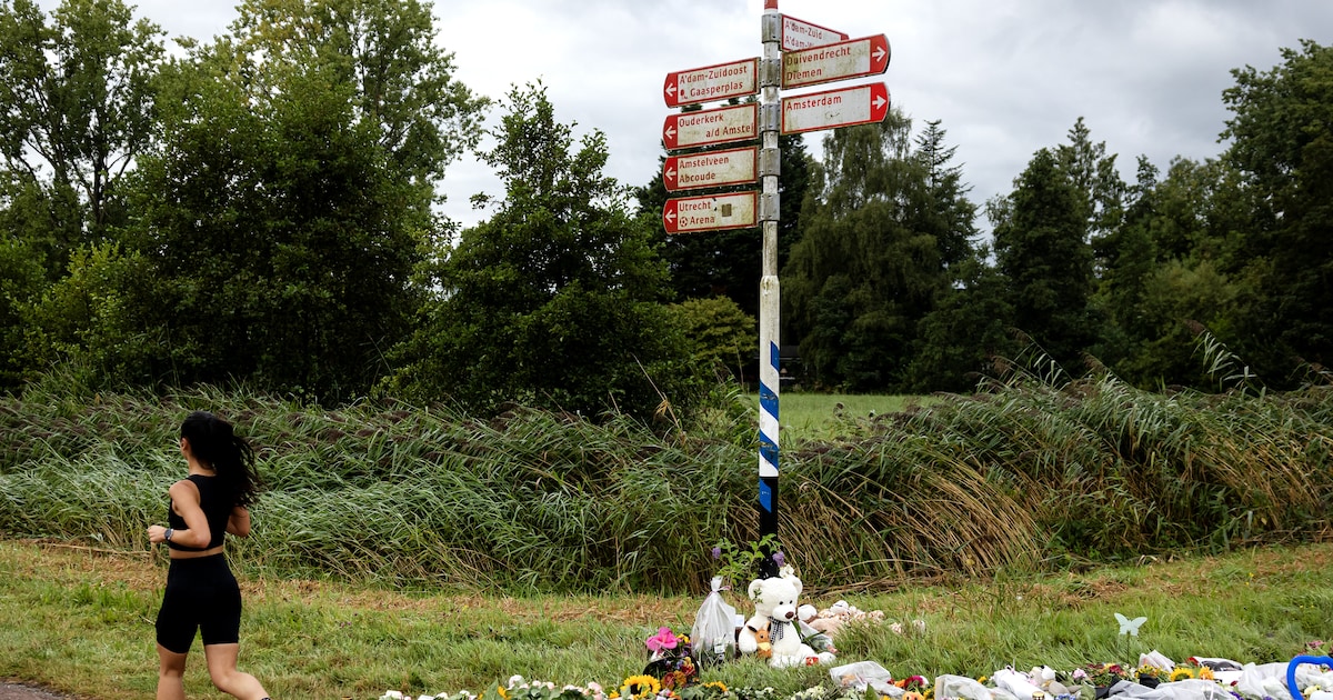 Identiteit van verdachte van moord op 17-jarige Lisa uit Abcoude nog ...