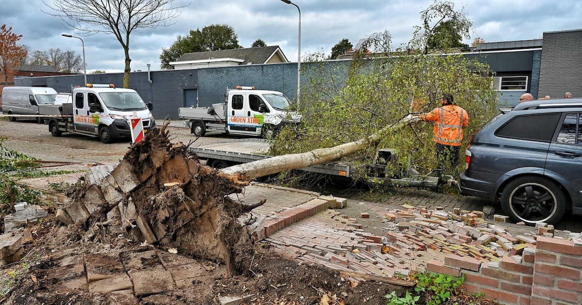 Eerste boom waait op auto in Tilburg, nog voor ingaan van code geel ...